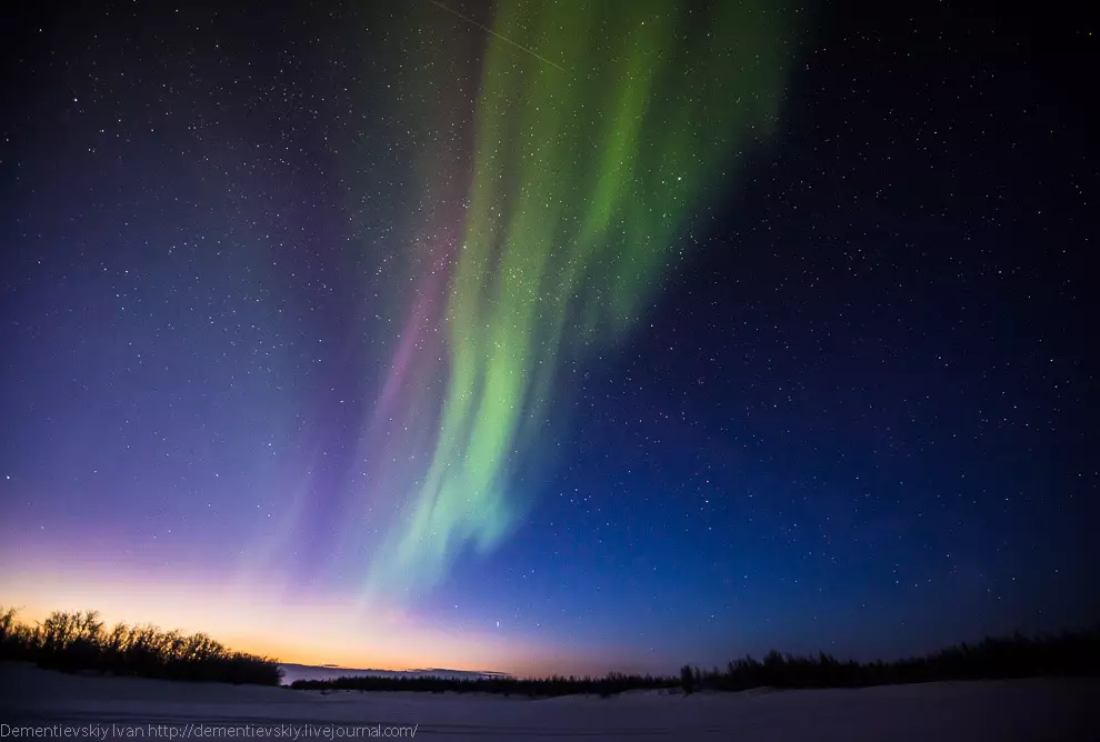 Northern Lights sa Tundra. 8461_13