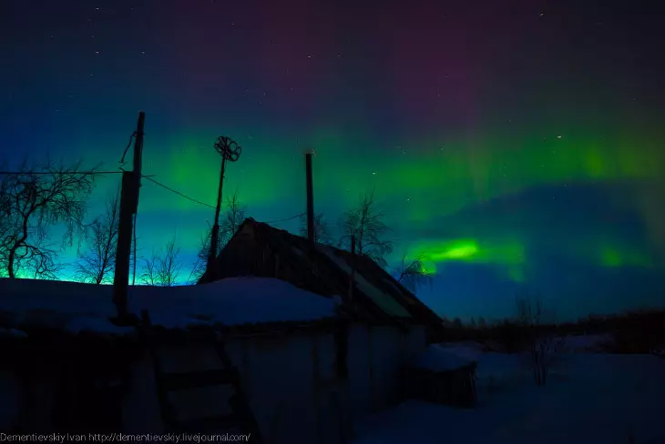 Північне сяйво в тундрі 8461_2