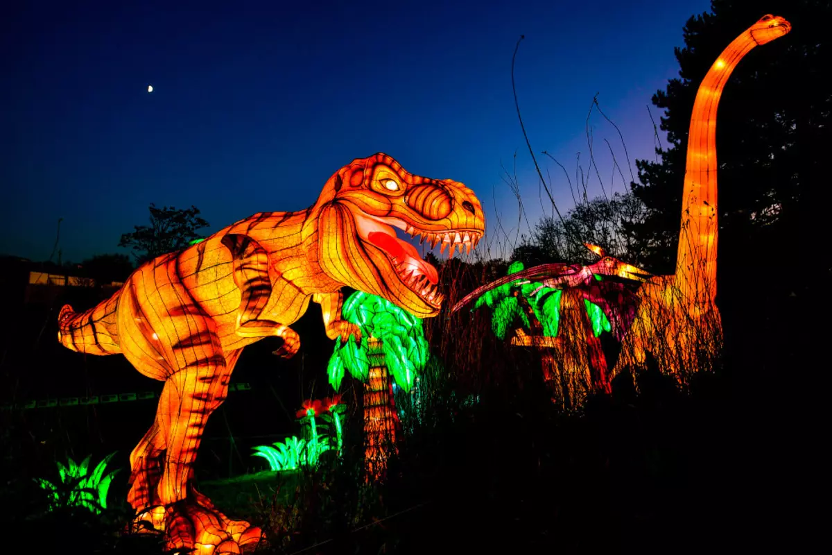 Chinees festival van licht in de dierentuin van Keulen 8519_14