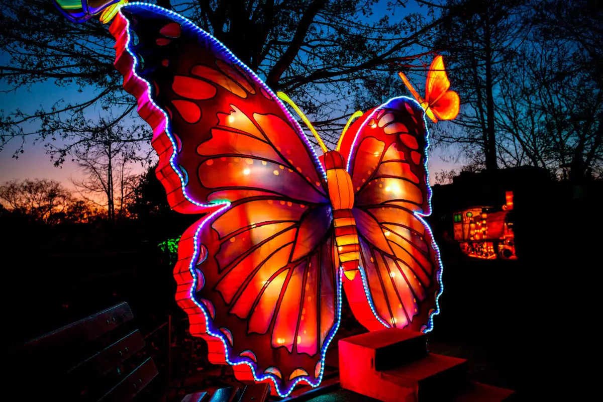 Chinees festival van licht in de dierentuin van Keulen 8519_3