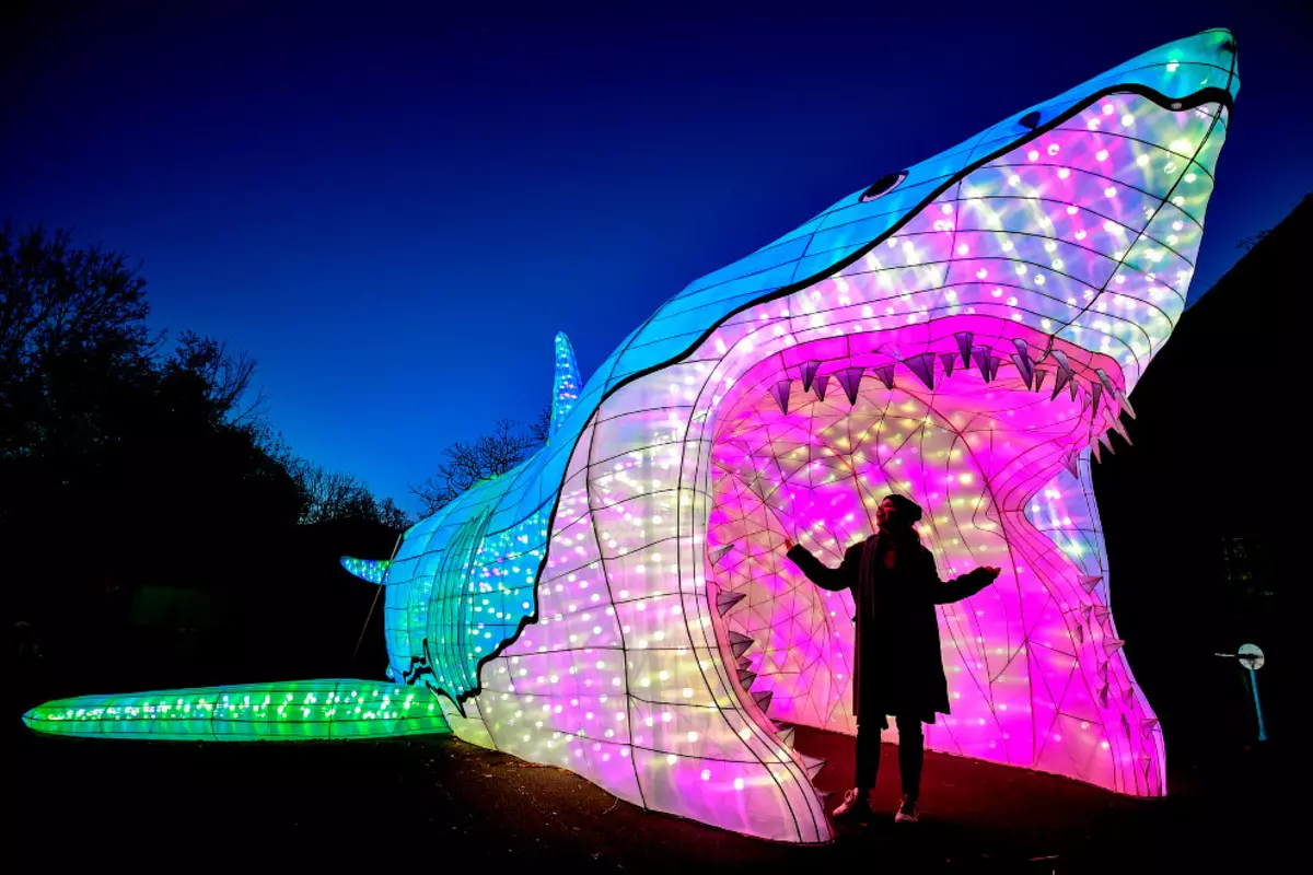 Chinees festival van licht in de dierentuin van Keulen 8519_8