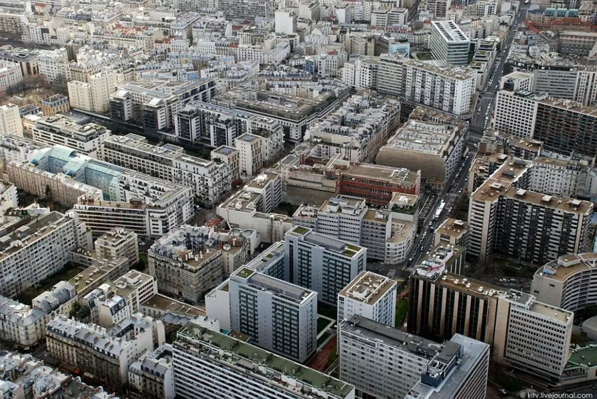 Vistas de París desde la altura de la Torre Eiffel.