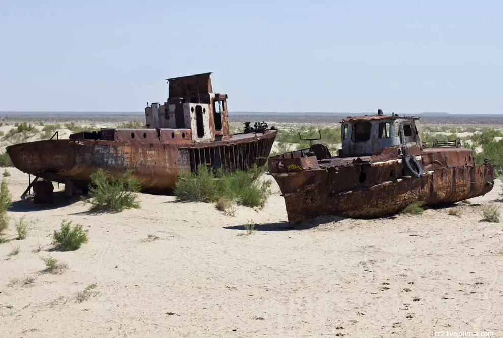 Cementerio de barcos en el mar Aral. 8803_10