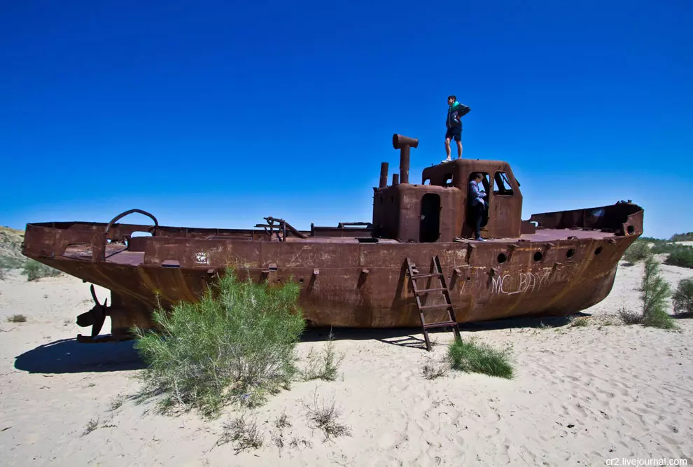 Cementerio de barcos en el mar Aral. 8803_20