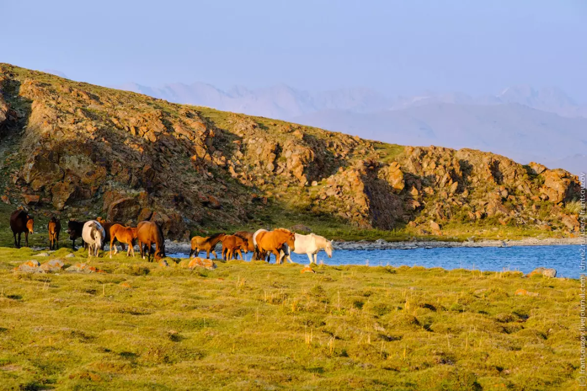 Liqeni Sonkel: Plazhi i panjohur i veriut 8907_8