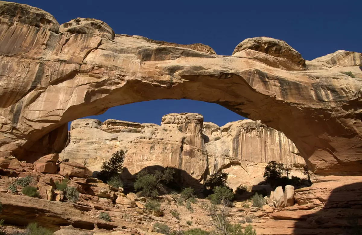 Parque Nacional Capitol Reef: 