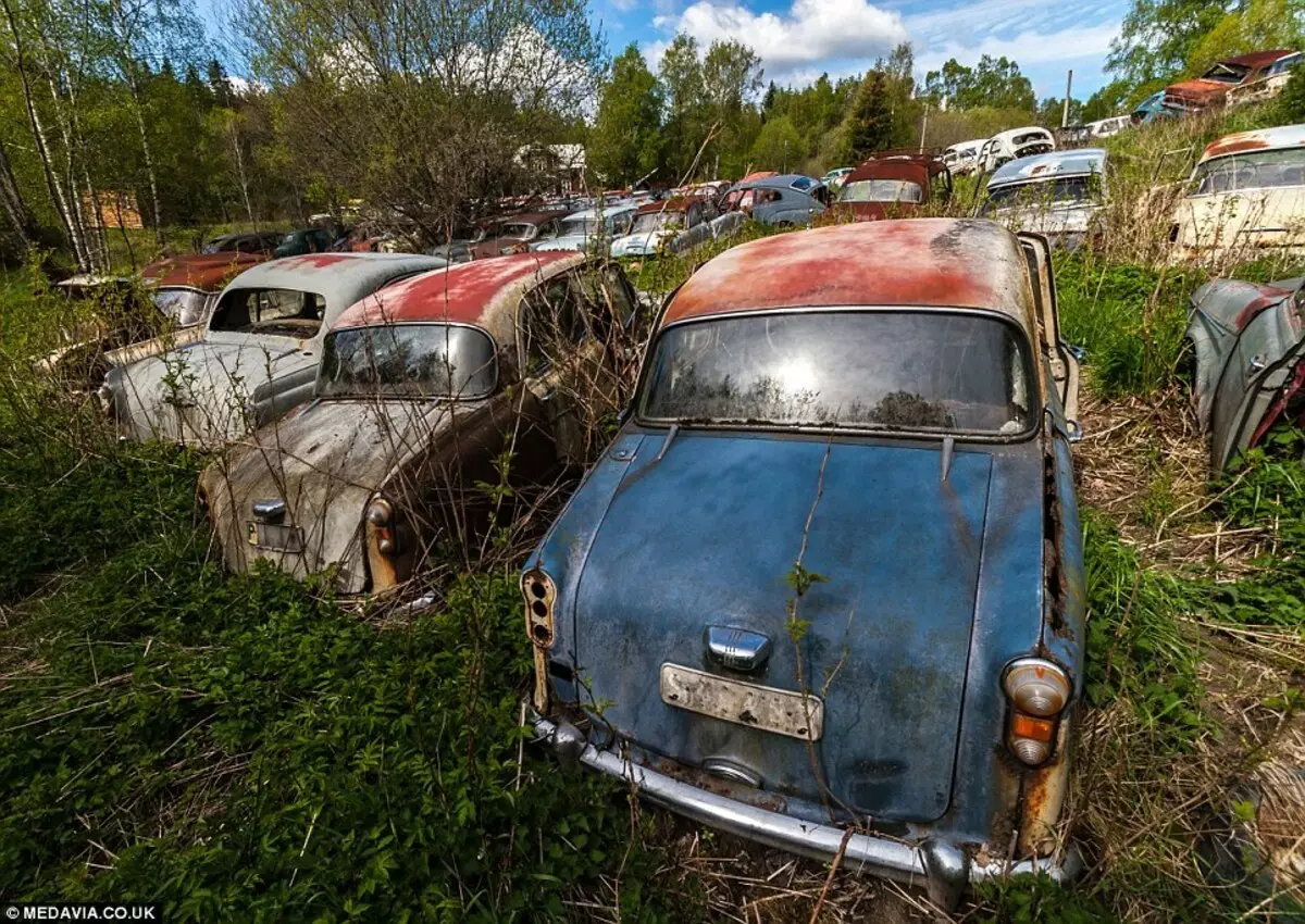 Cimetière de voitures en Suède 9225_3