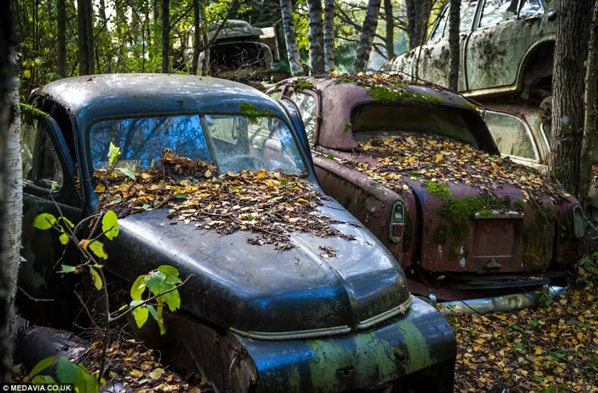 Cimetière de voitures en Suède 9225_8