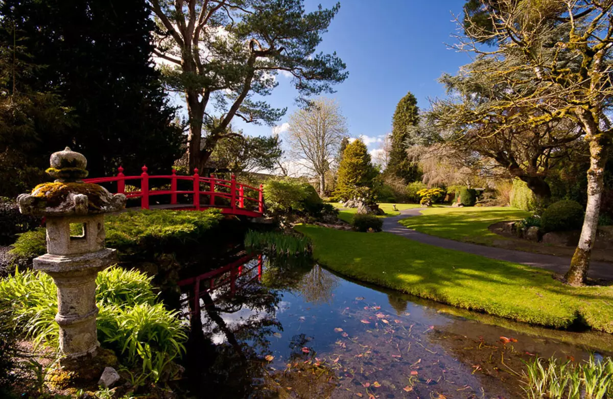 Irlanda National Stud & Japanaj ĝardenoj