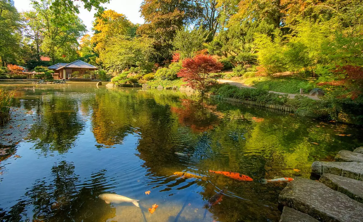 Japanischer Garten Kaiserslautern.