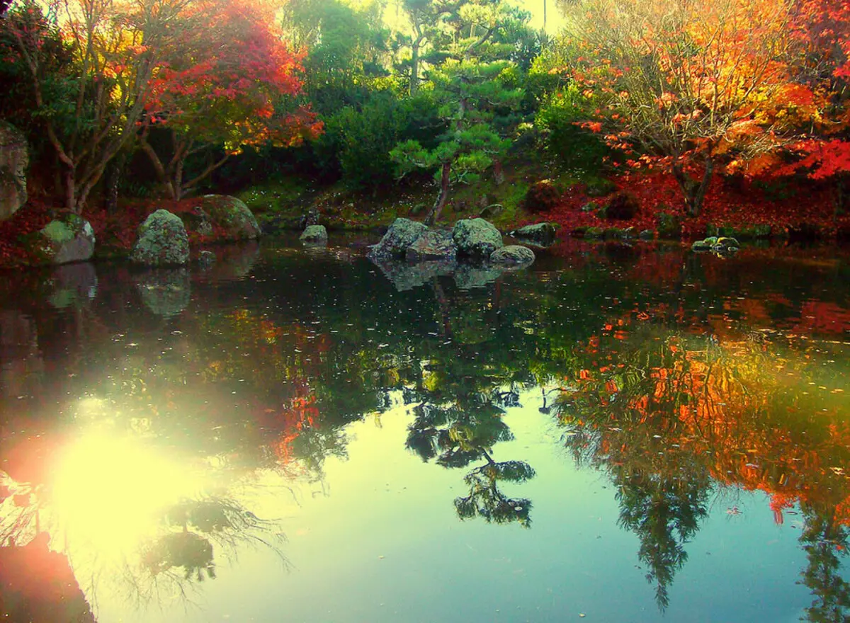 Japanese Garden Of Contemplation