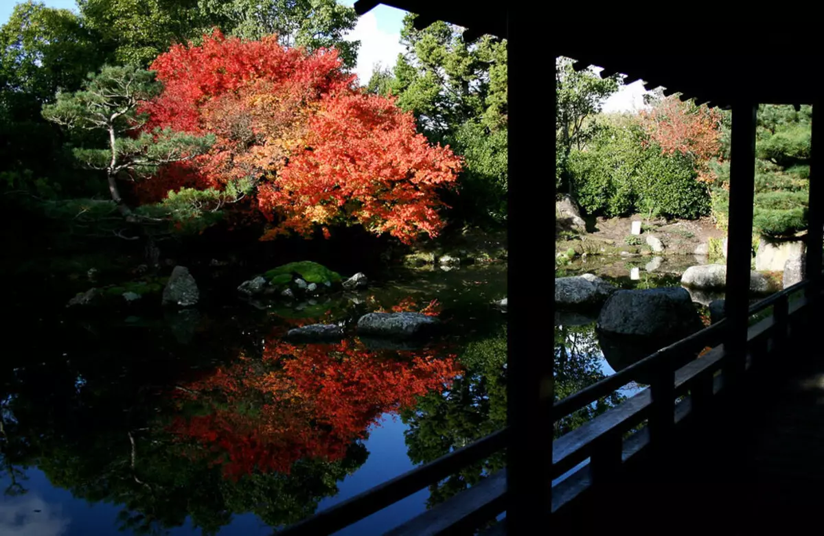 日本花园的沉思