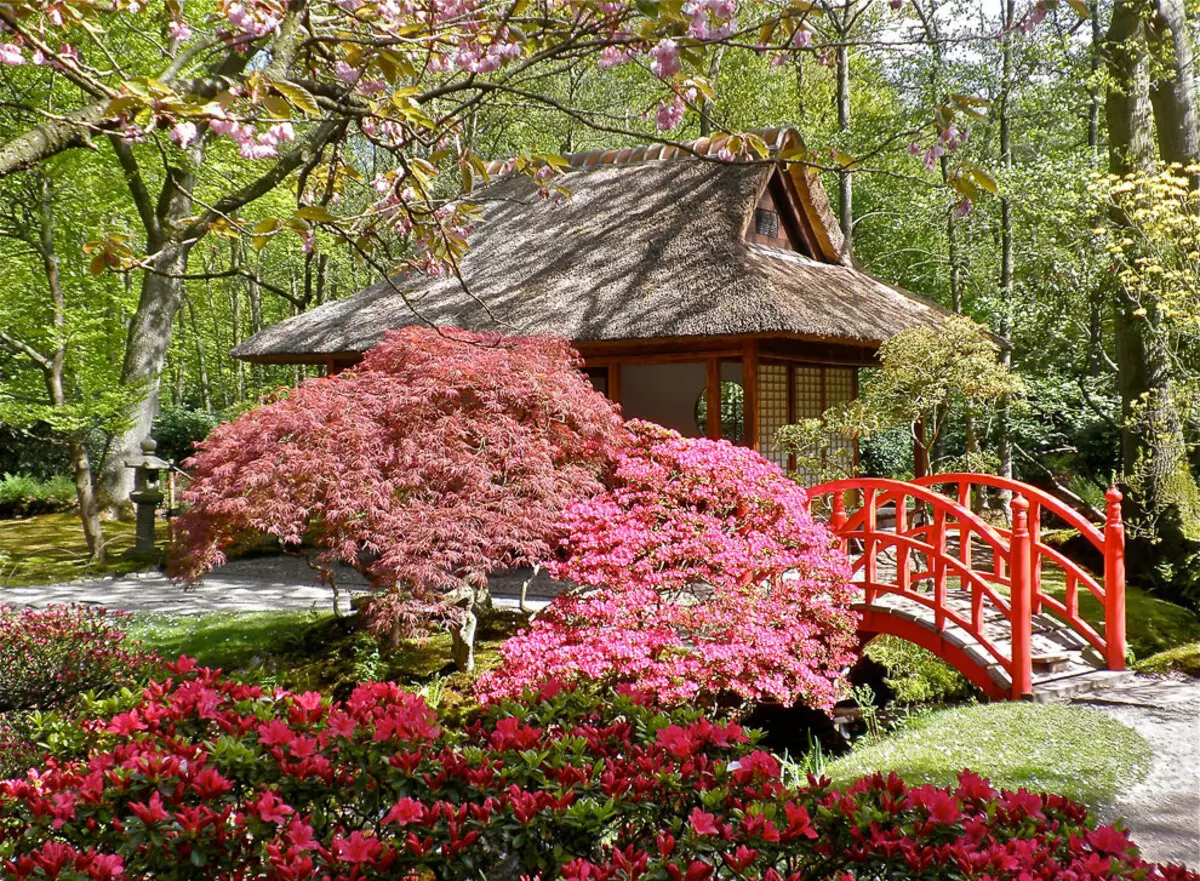 Japanese Garden of the city of Hague in Holland