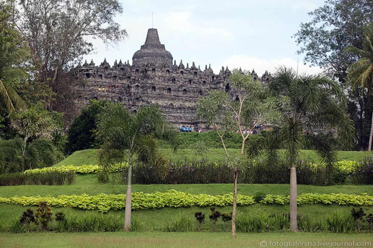 အင်ဒိုနီးရှားရှိဗိမာန်တော်ပါးလွှာသော Borobudur 9343_2