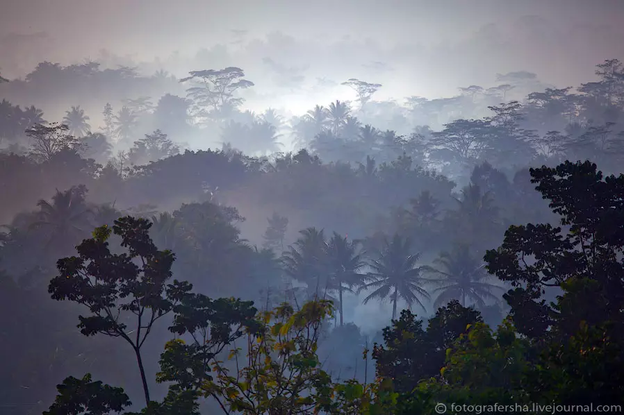 තිහක්