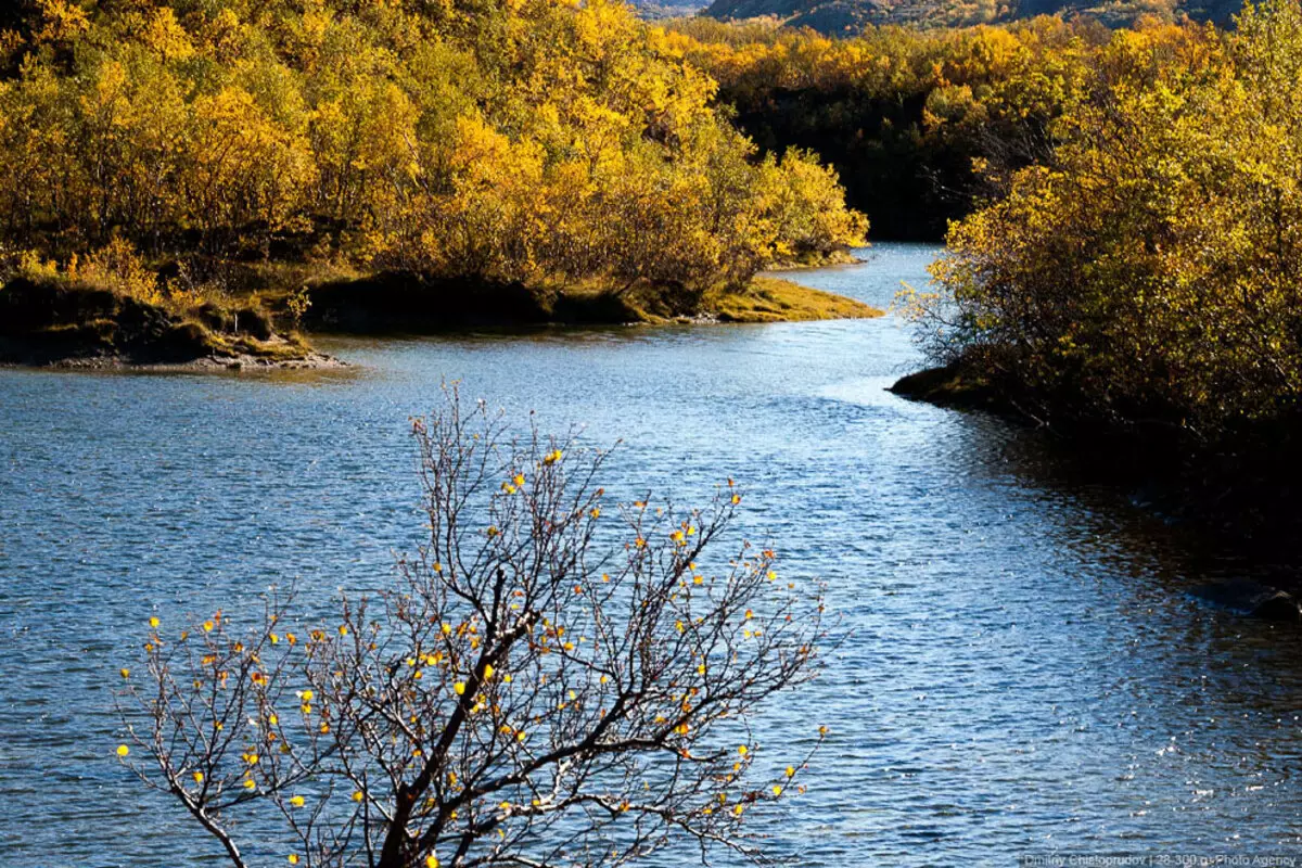 Kuldne sügis Kola poolsaarel 9394_16