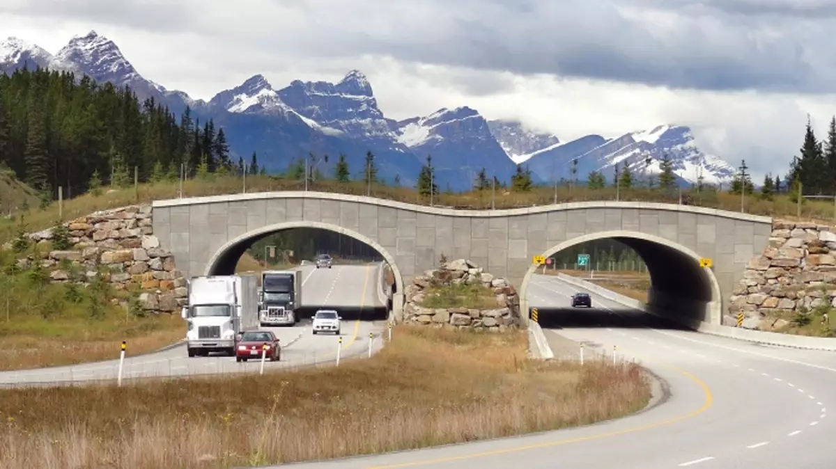 D'un type de montagnes peut être arrêté et profiter de la beauté.