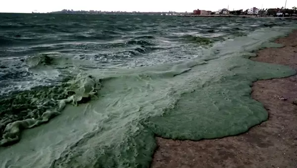 Ang dagat sa mga resort ng Russia ay naging sinigang. 943_1