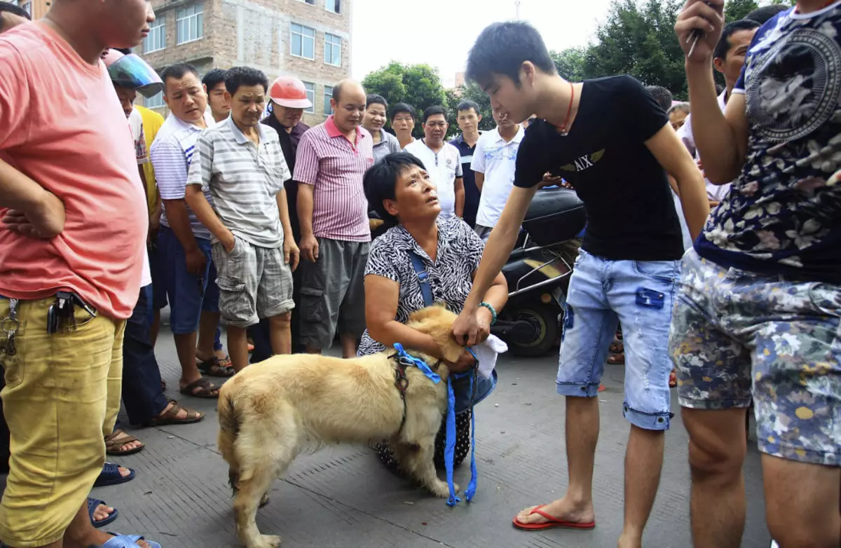 Çin'de yıllık köpek et festivali Yulina'da yapıldı