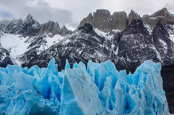 Mėlyna pilka ledyna Patagonijoje 9511_1