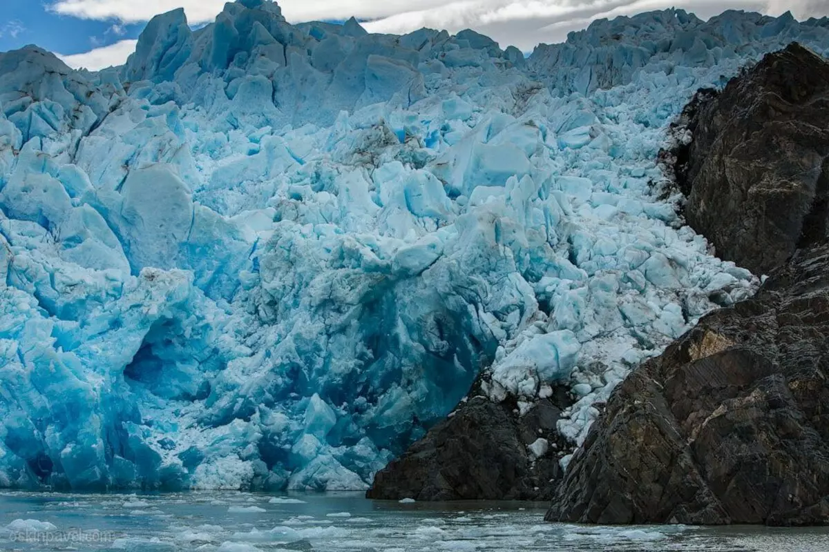 Mėlyna pilka ledyna Patagonijoje 9511_10