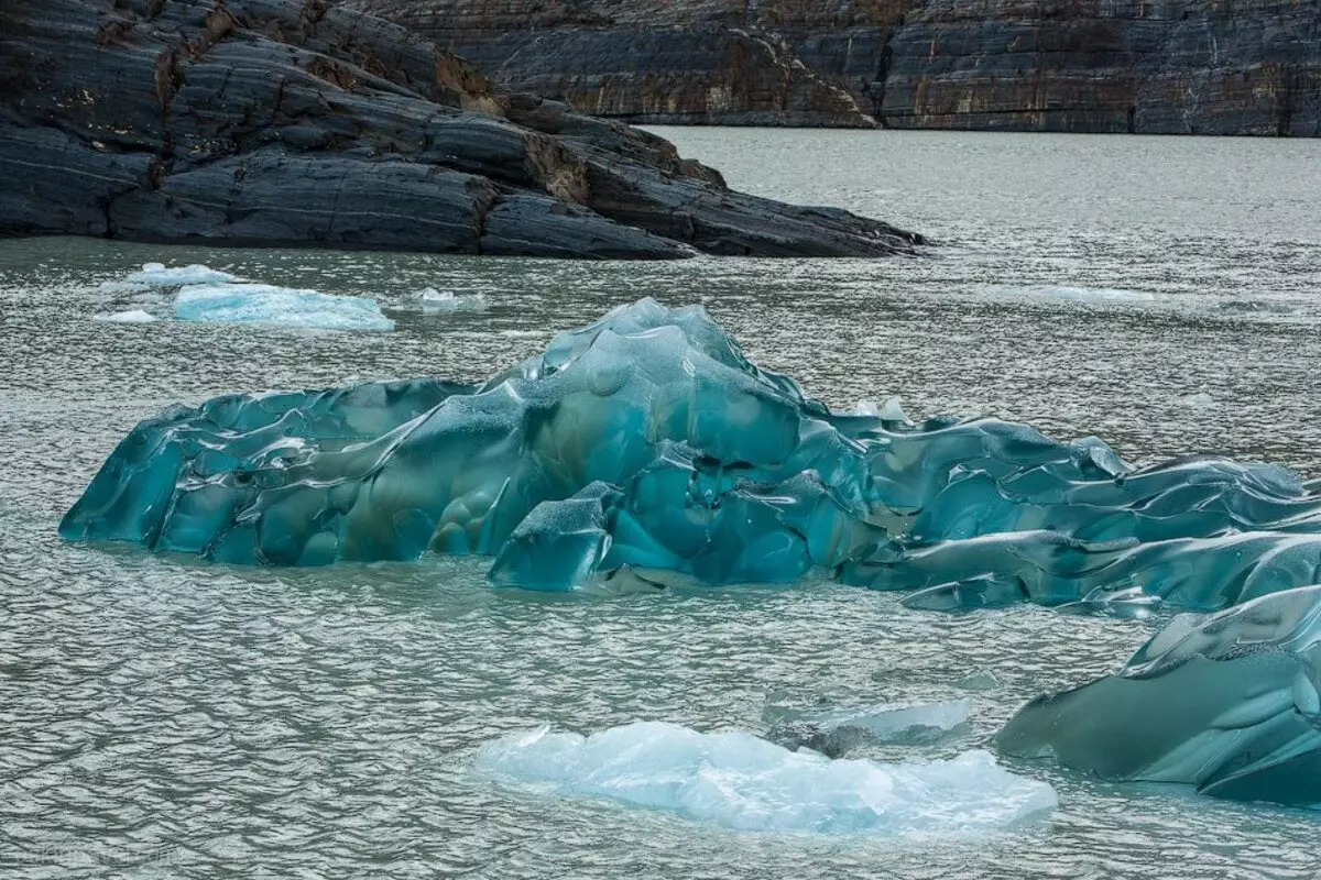 Patagonia মধ্যে নীল ধূসর হিমবাহ 9511_11