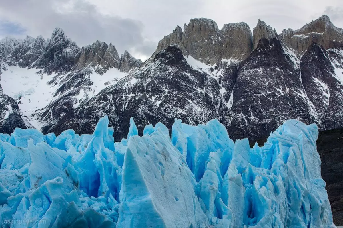 Mėlyna pilka ledyna Patagonijoje 9511_13