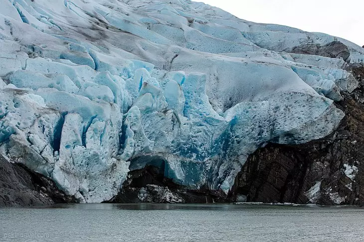 Mėlyna pilka ledyna Patagonijoje 9511_3