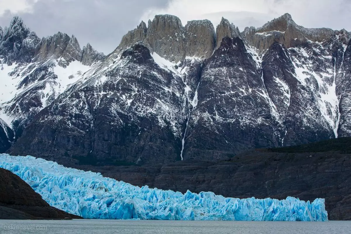 Patagonya'daki Mavi Gri Buzul 9511_9