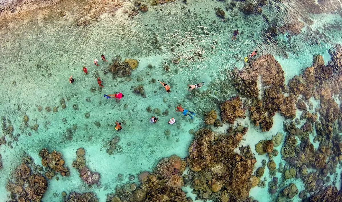 Coral Garden, Ranskan Polynesia