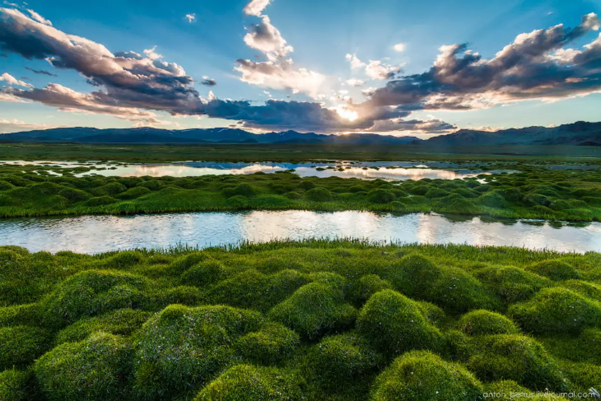 Landskappe van Mongolië