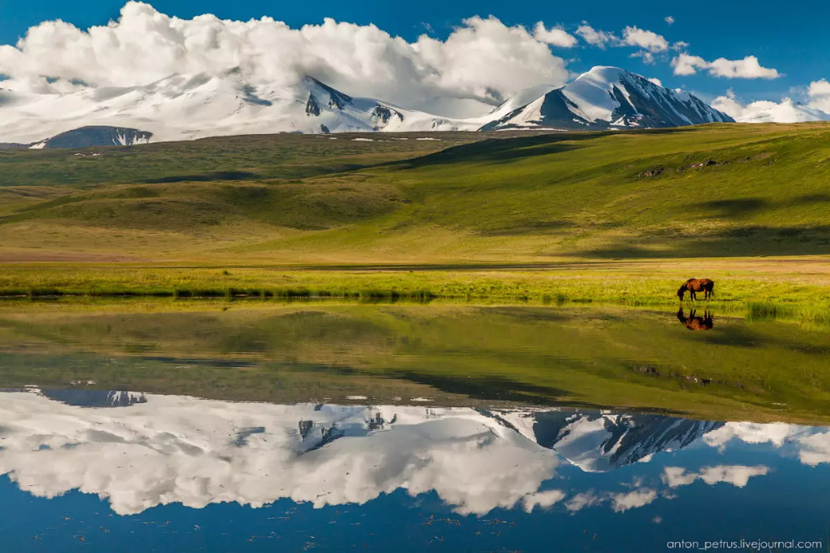 Snow-white fog altai. 9593_14