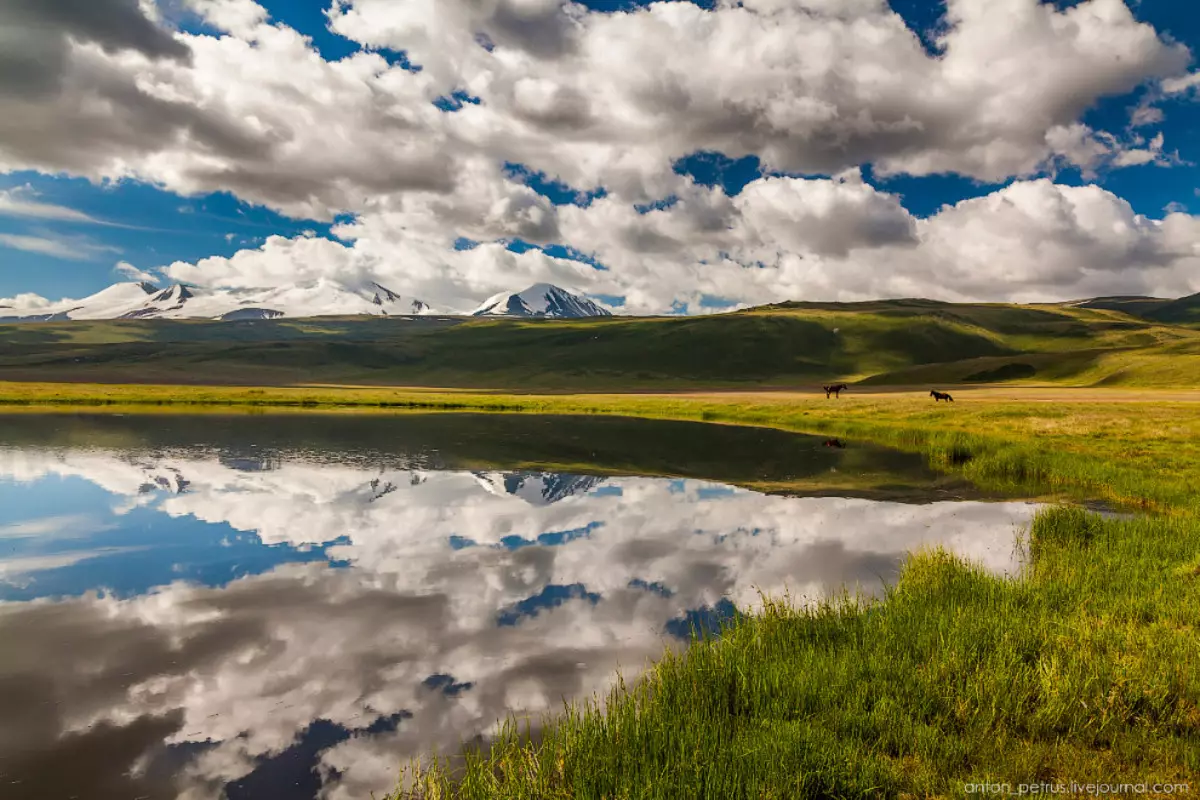 Snow-white fog altai. 9593_15