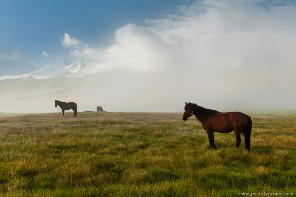 Snow-fari fog Altai 9593_3