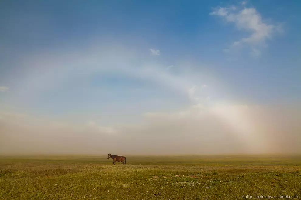 Snow-white fog altai. 9593_5