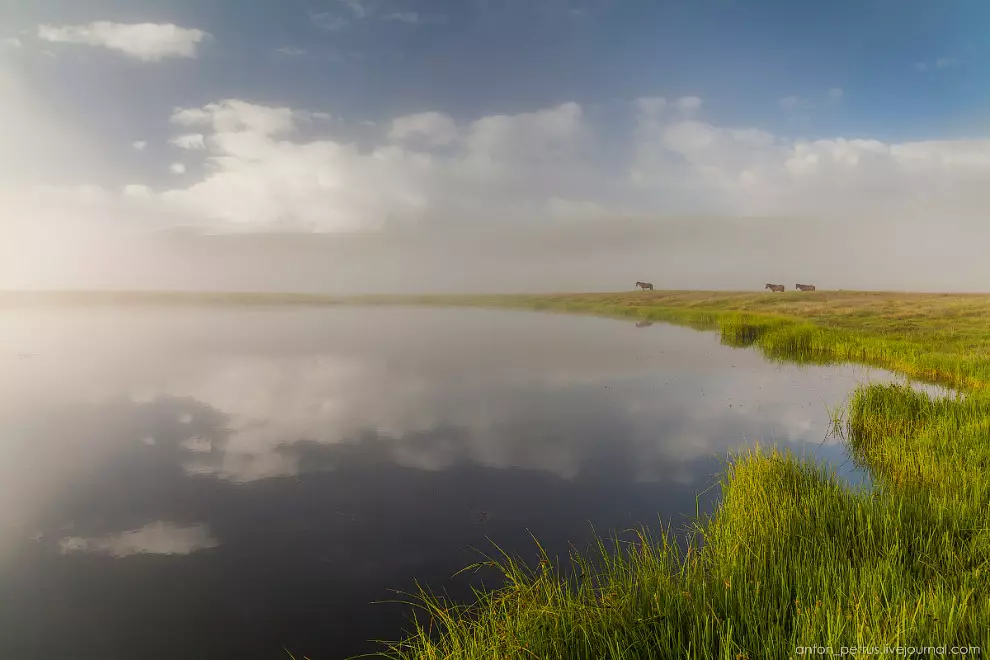 Snow-White Fog Altai 9593_6