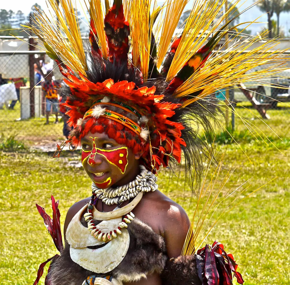 Papukuni papuwans ochokera ku Papua New Guinea 9661_13