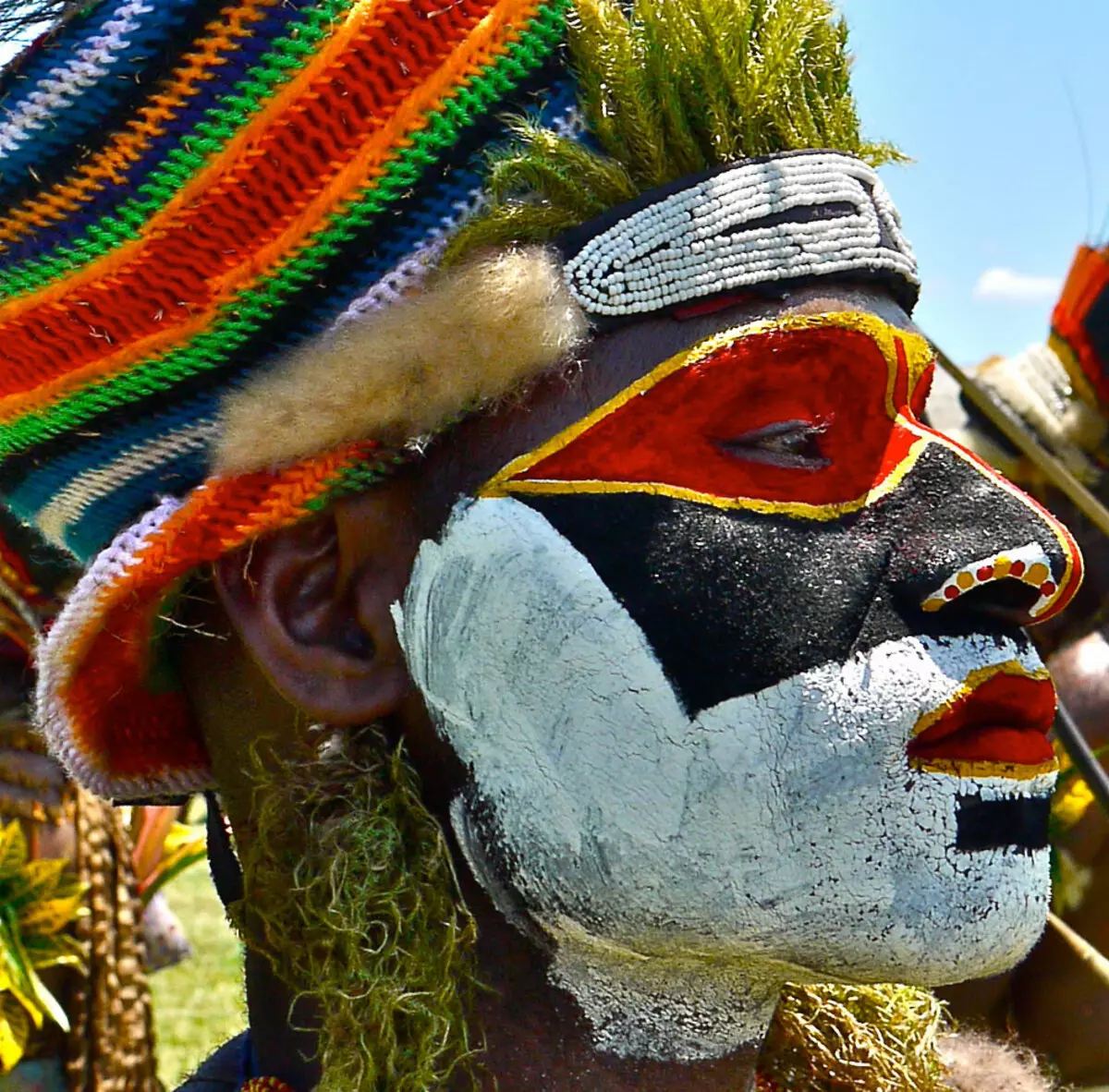 multicolored papuans จากปาปัวนิวกินี 9661_14