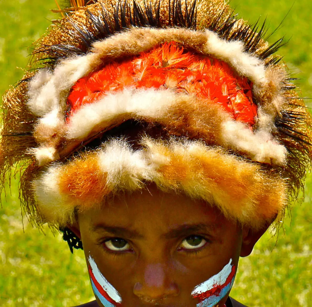 Papuans multicolores de Papouasie Nouvelle-Guinée