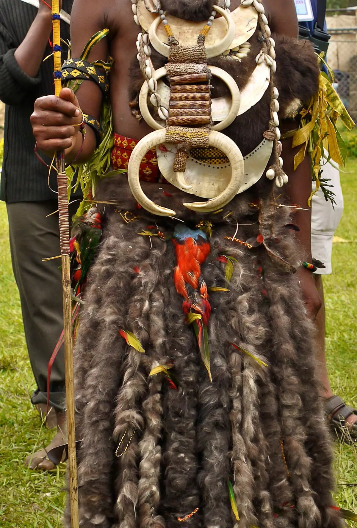 Papuans multicolores de Papouasie Nouvelle-Guinée