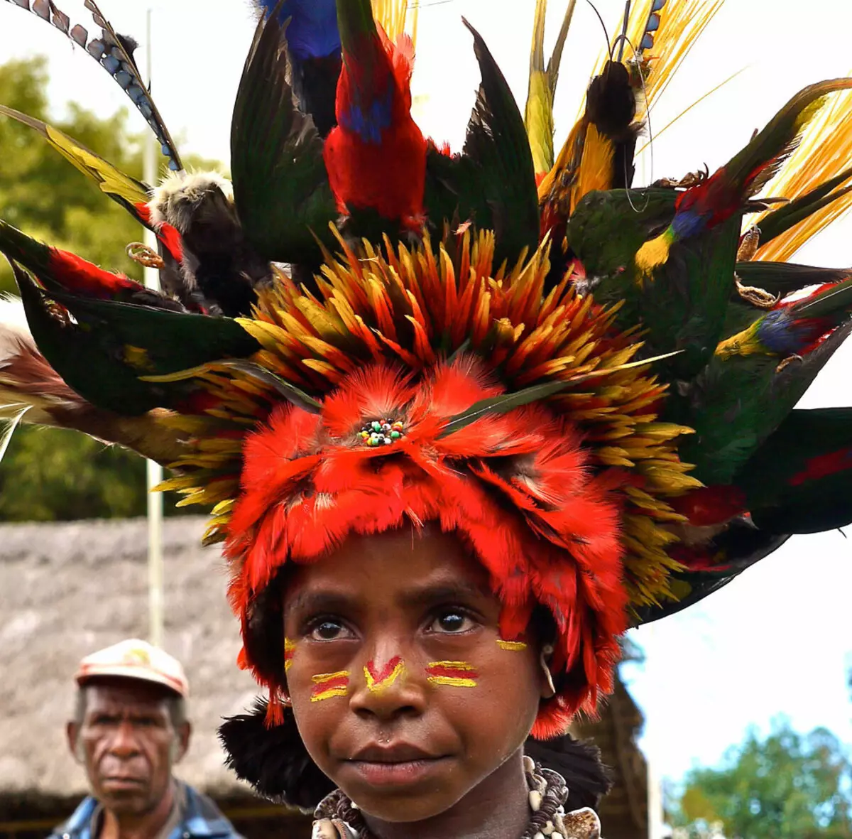 papuans متعدد الألوان من بابوا غينيا الجديدة