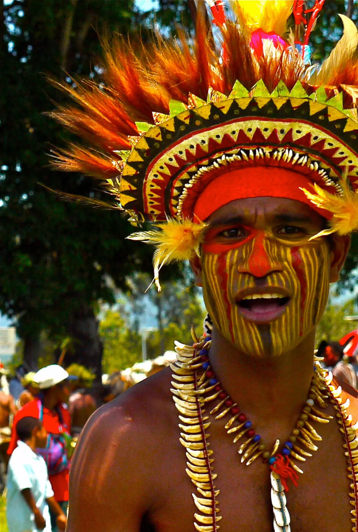 Papuanët me ngjyra nga Papua Guinea e Re