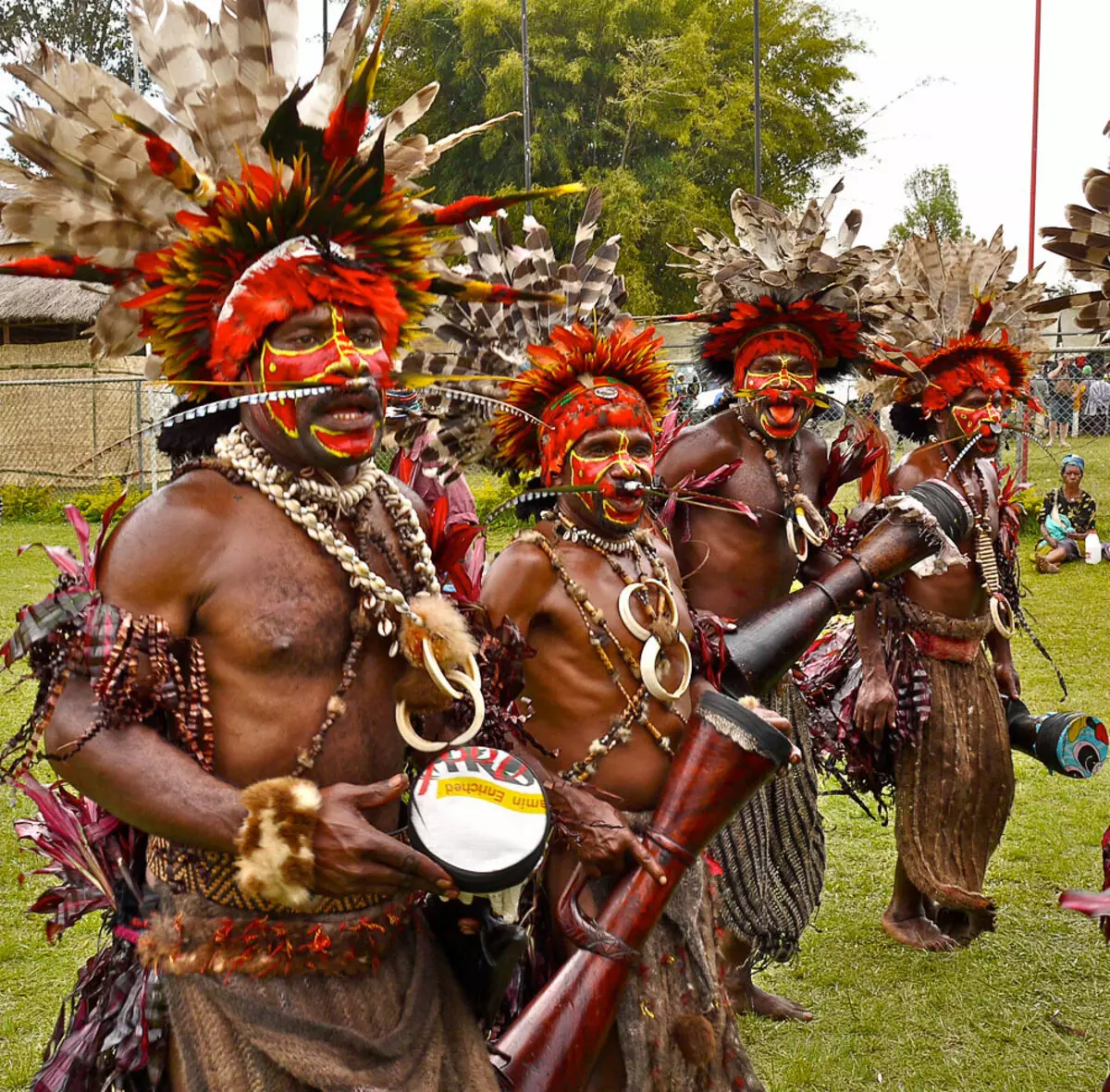 Papuans multicolores de Papouasie Nouvelle-Guinée