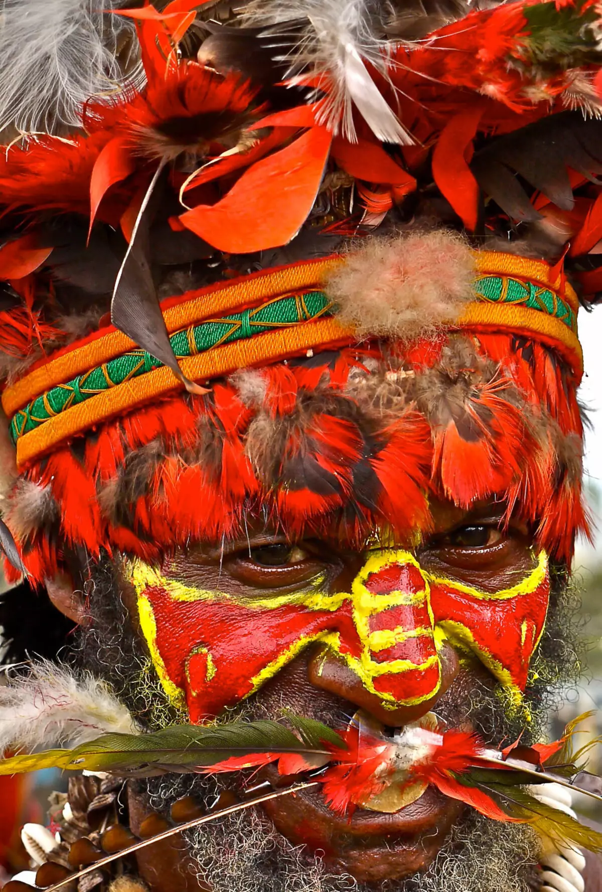 Papukuni papuwans ochokera ku Papua New Guinea