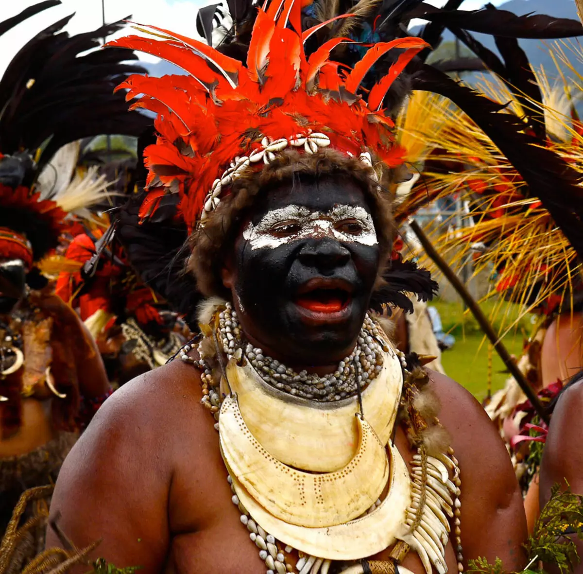 Papuans multicolores de Papouasie Nouvelle-Guinée