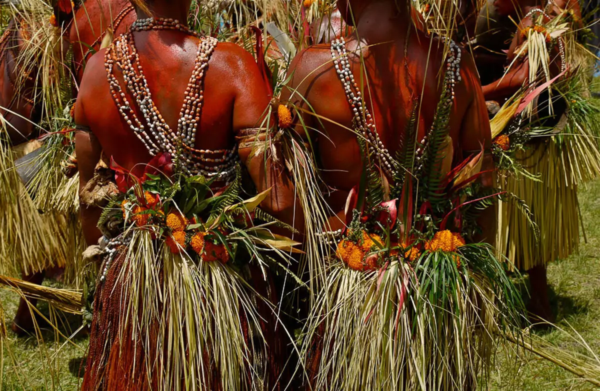 multicolored papuans จากปาปัวนิวกินี