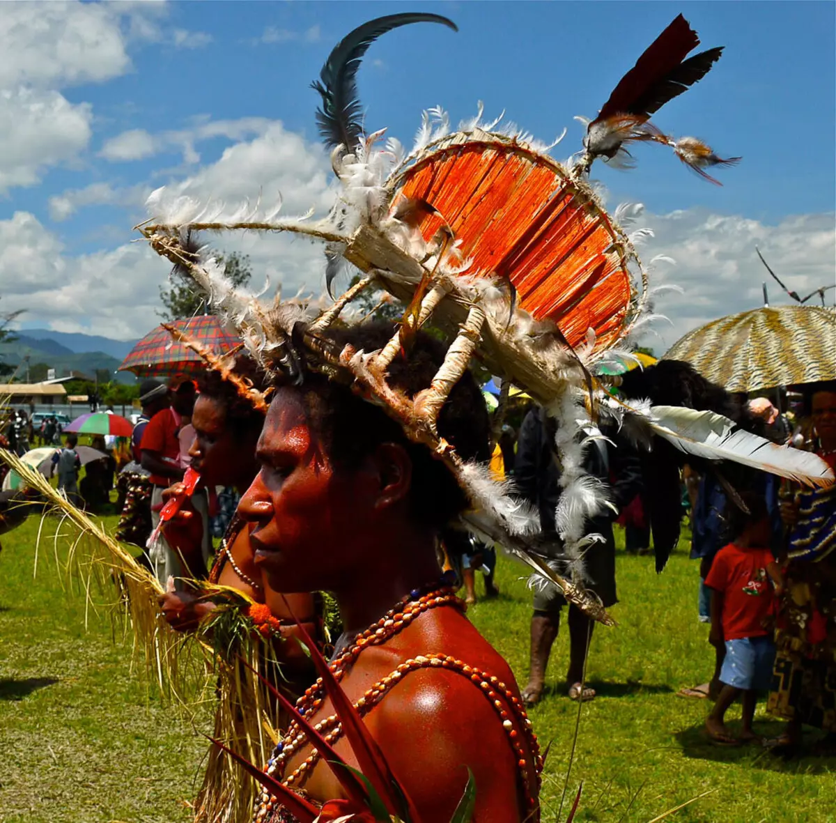 Papuans multicolores de Papouasie Nouvelle-Guinée