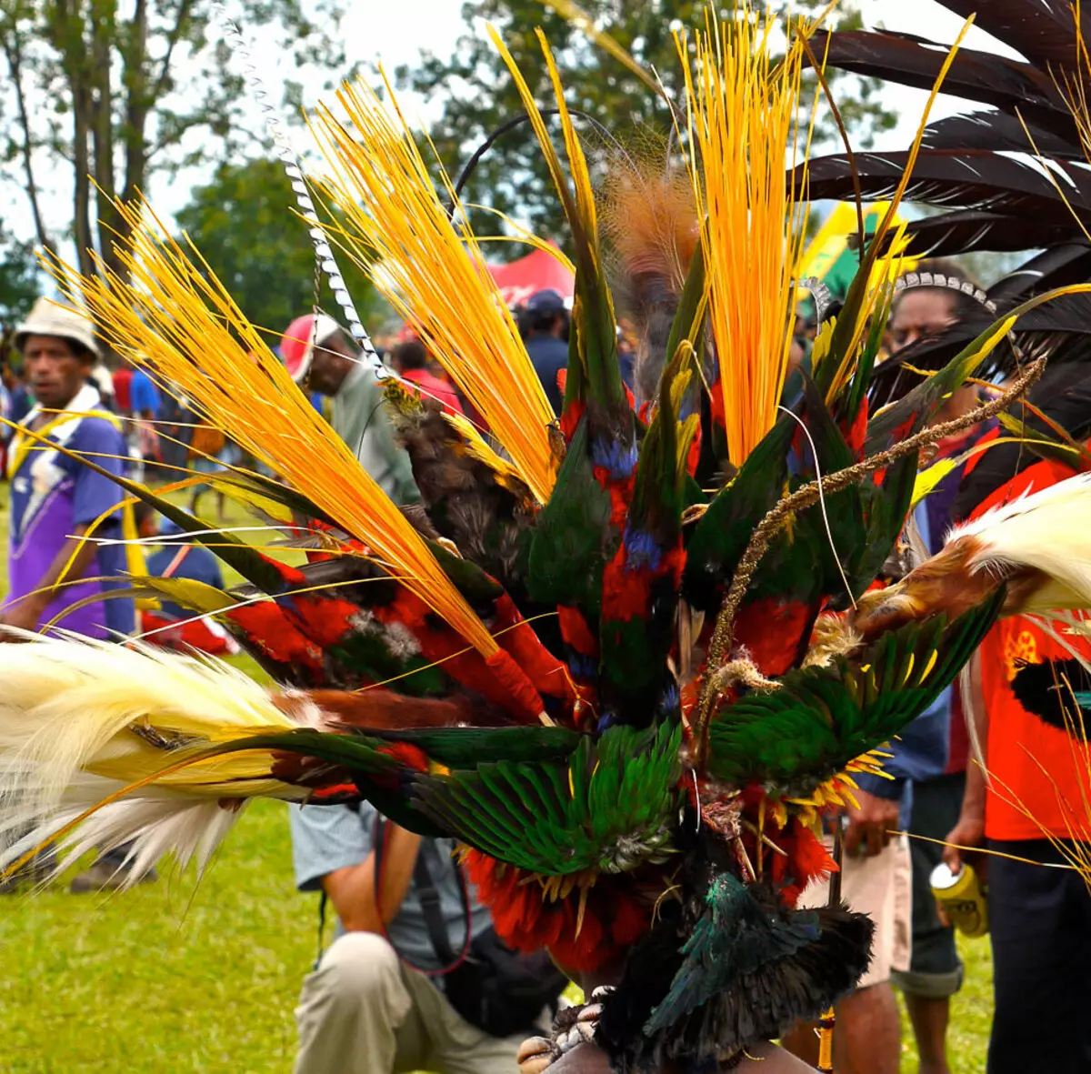 papuans متعدد الألوان من بابوا غينيا الجديدة