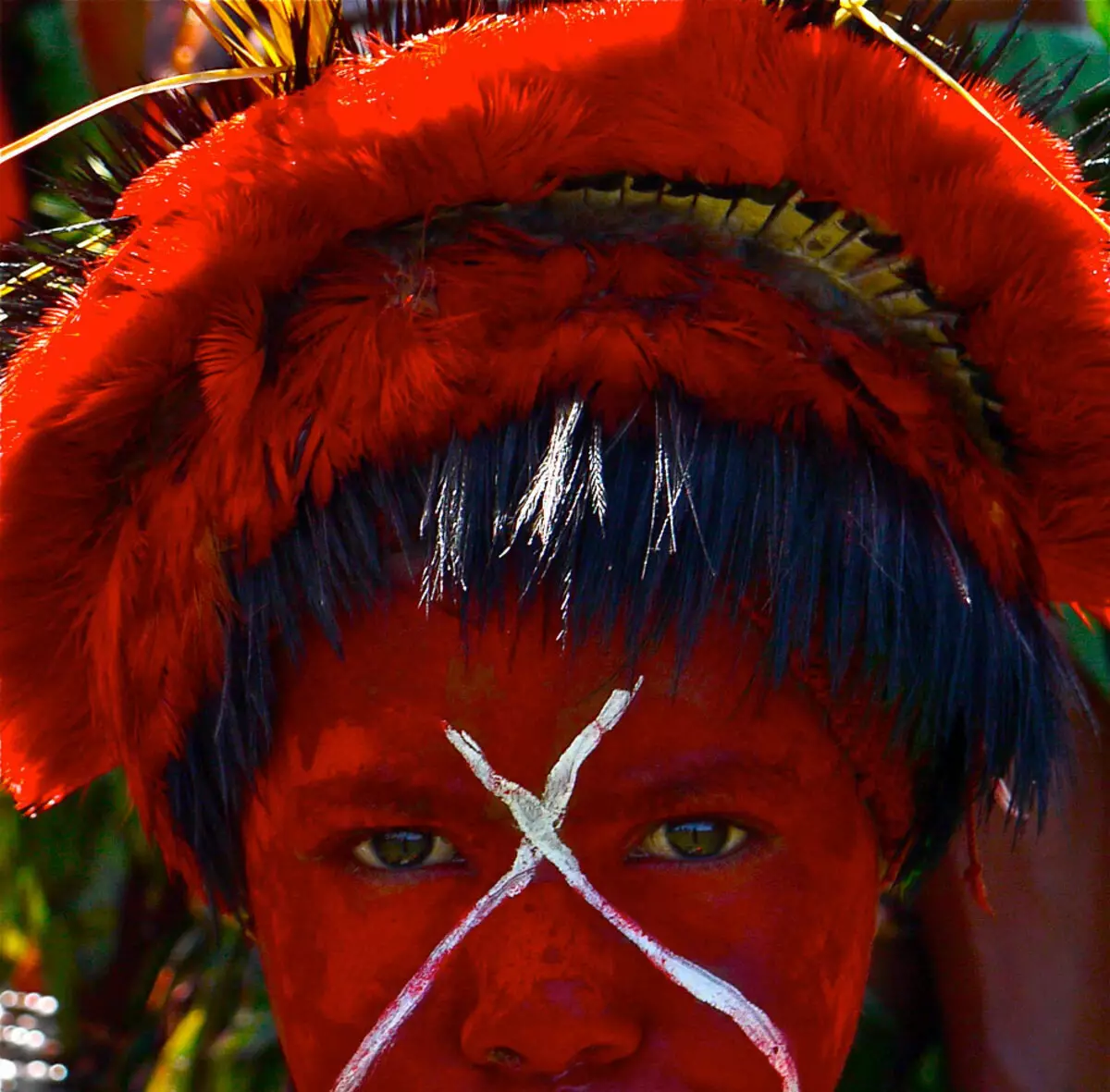 Papukuni papuwans ochokera ku Papua New Guinea 9661_5