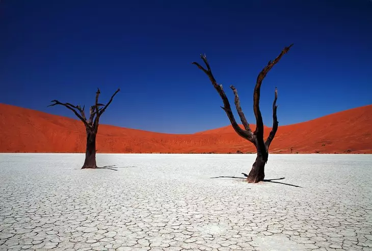 Dead Valley yn 'e Namib Desert 9704_1